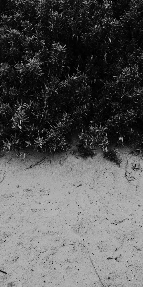 Life’s a Beach – Zoé Haynes-Smith Photography