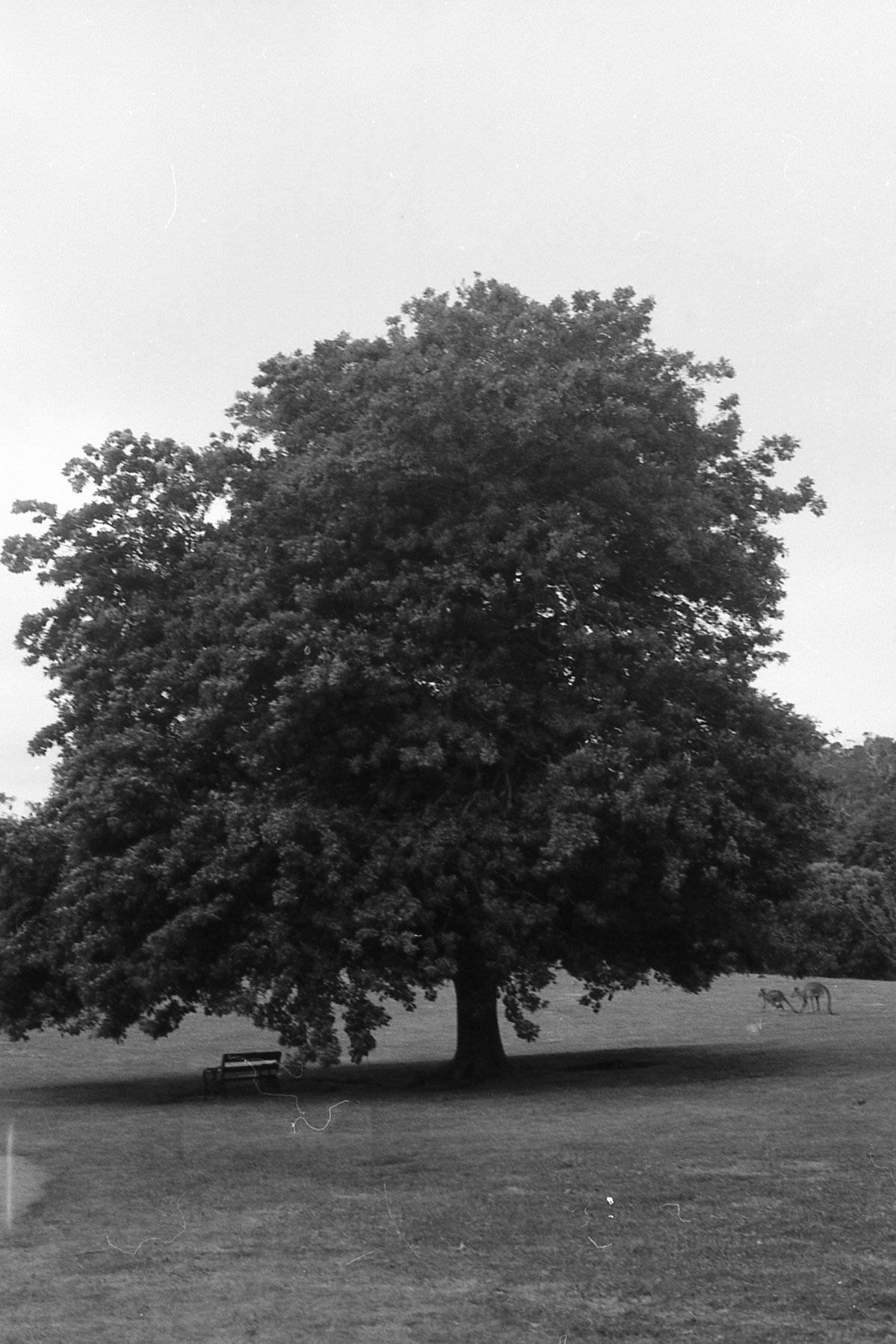 Favourite Black and White Film Photos 2022. – Zoé Haynes-Smith Photography