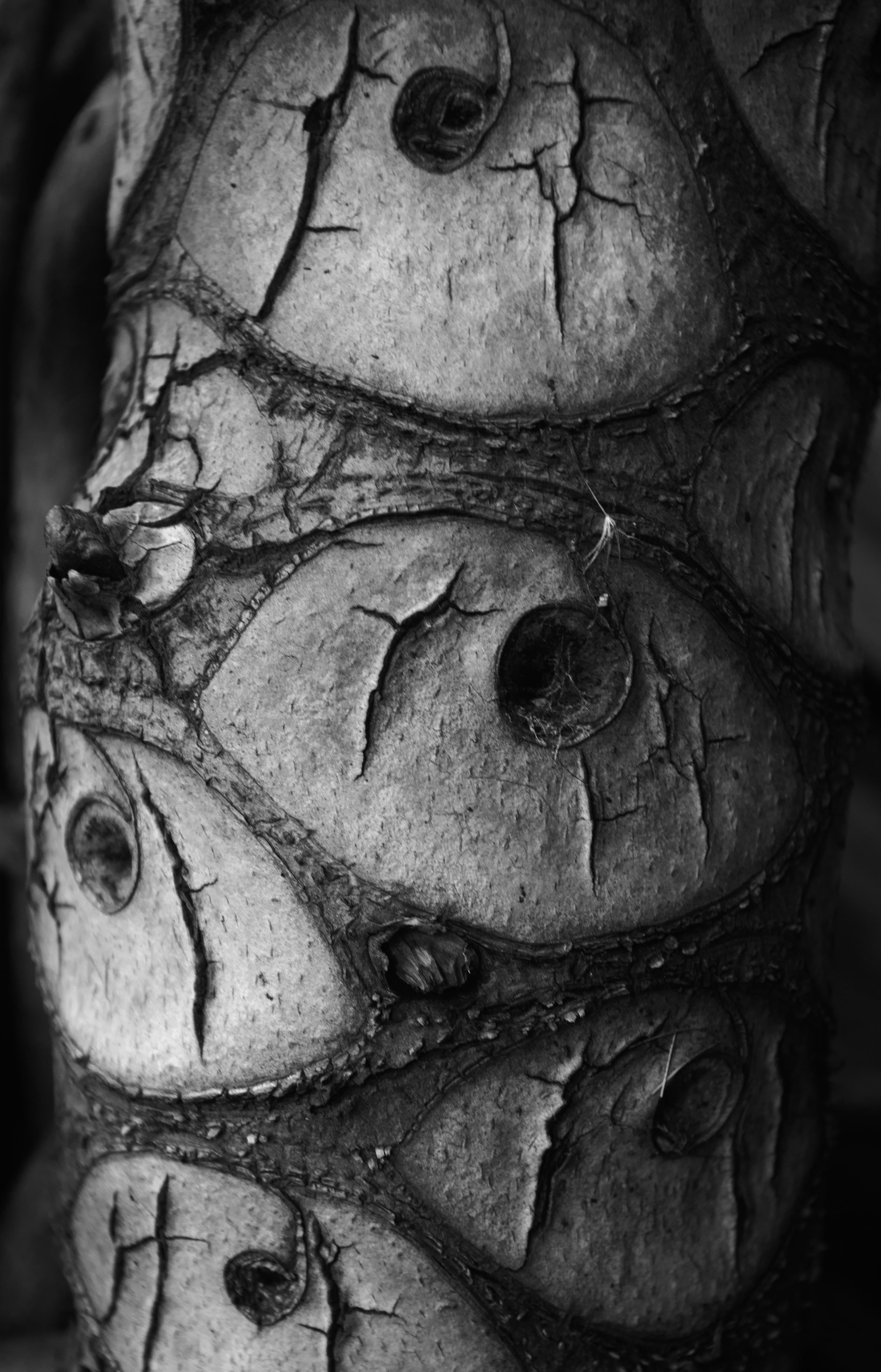 Favourite Digital Photographs of 2022 – Zoé Haynes-Smith Photography