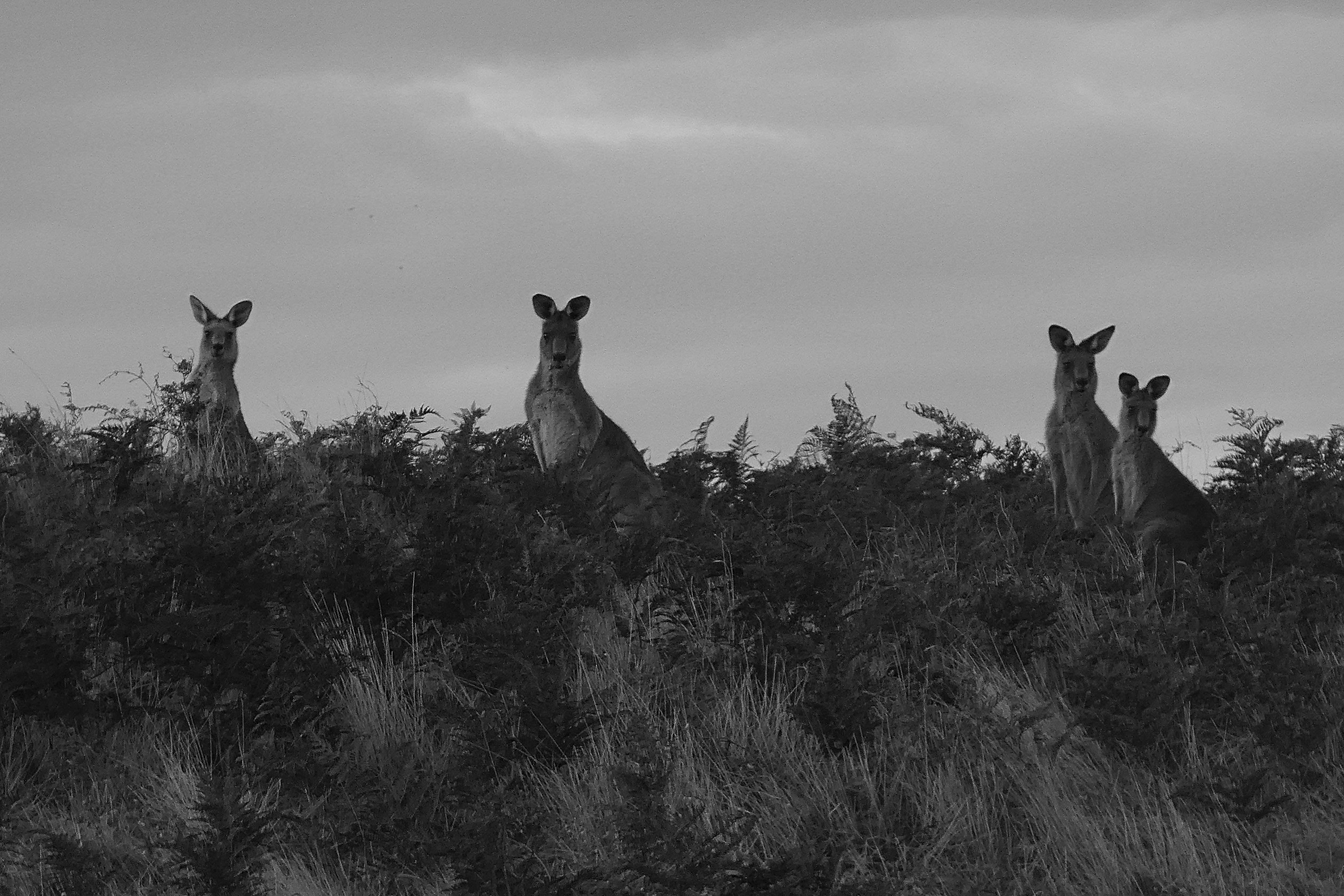 Favourite Digital Photographs of 2022 – Zoé Haynes-Smith Photography