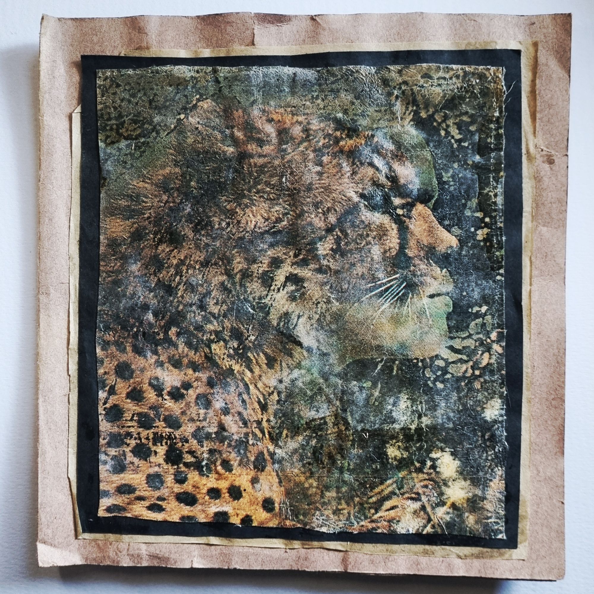 Camo-Double Exposure – 1997 – Zoé Haynes-Smith Photography