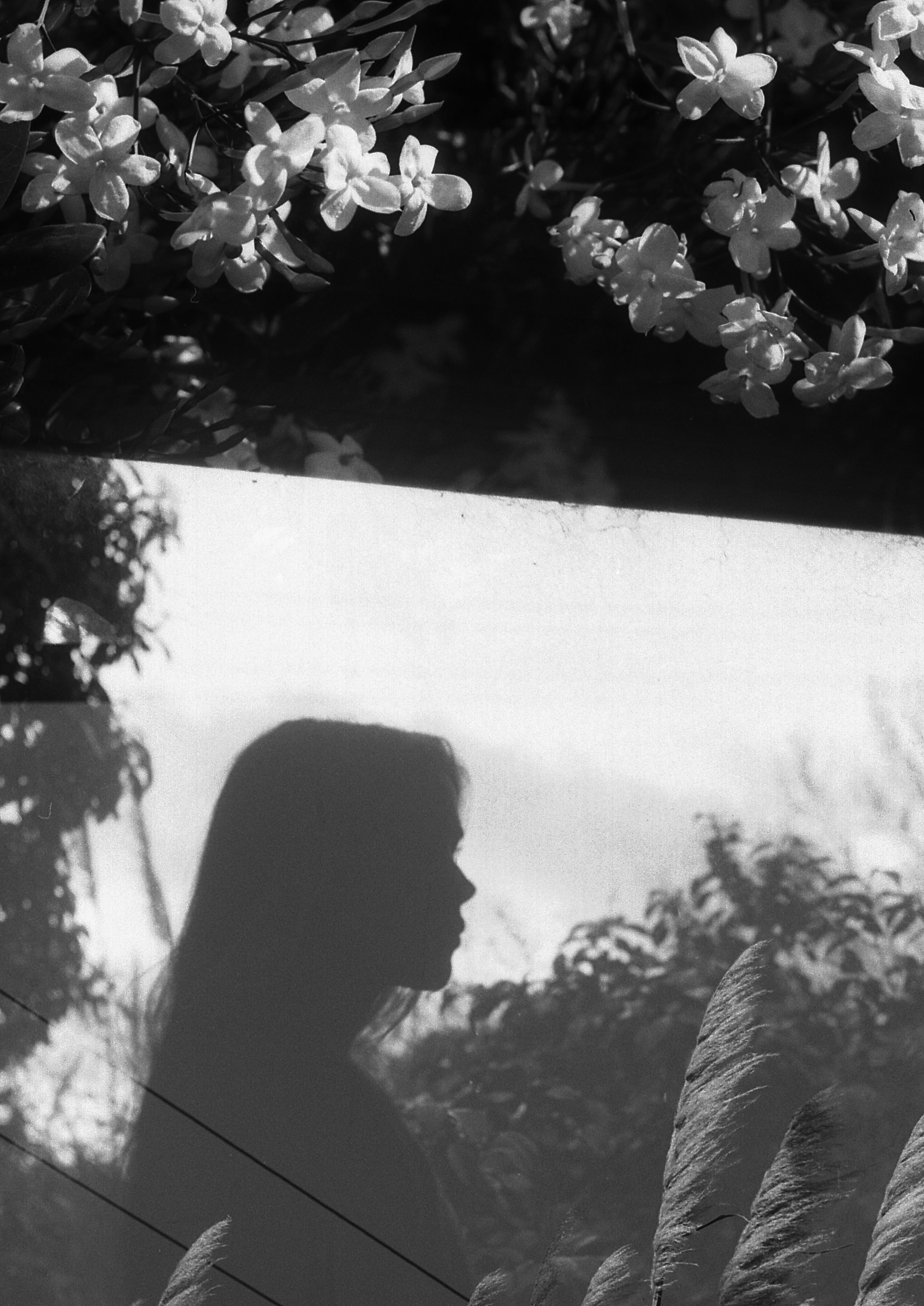 silhouettes and flowers – Zoé Haynes-Smith Photography