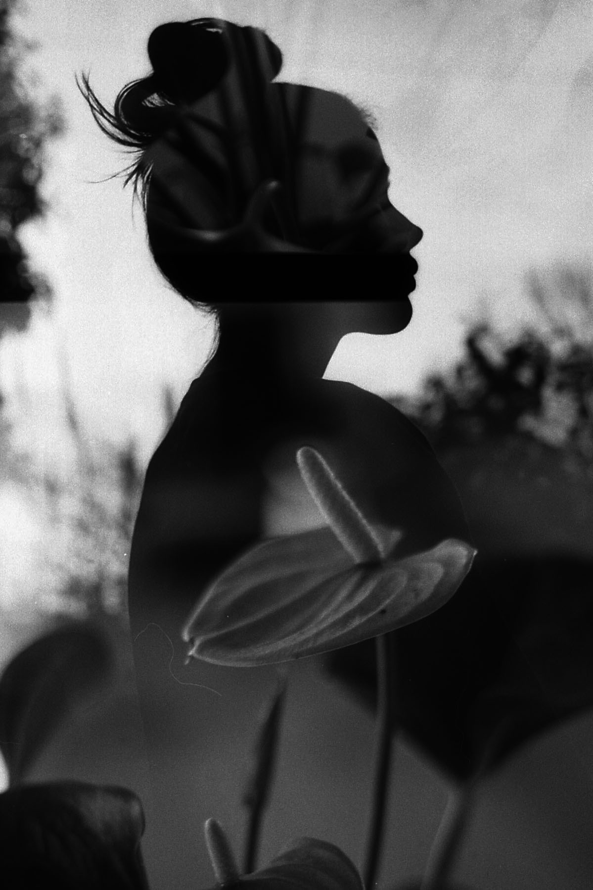 silhouettes and flowers – Zoé Haynes-Smith Photography