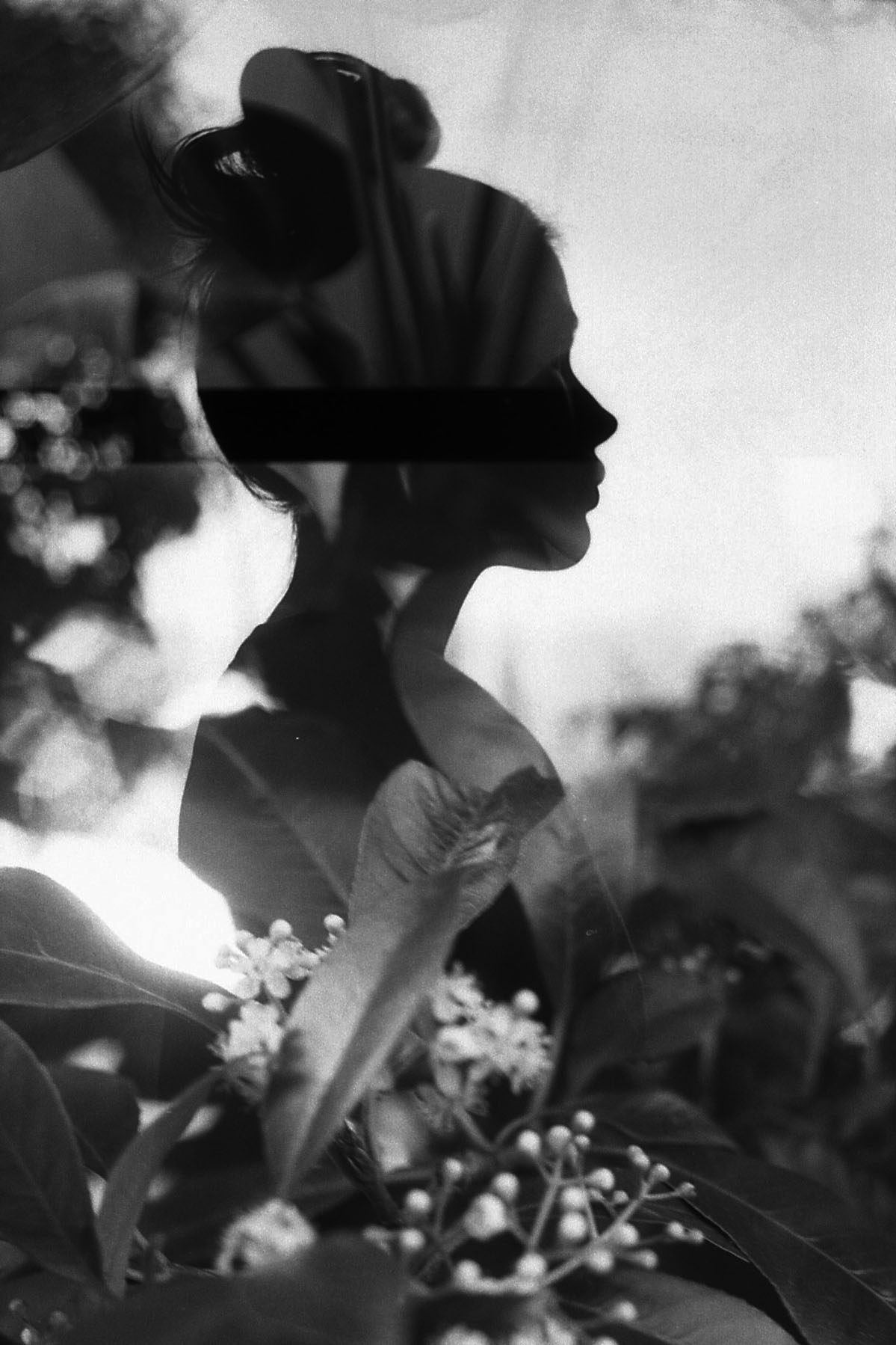 silhouettes and flowers – Zoé Haynes-Smith Photography