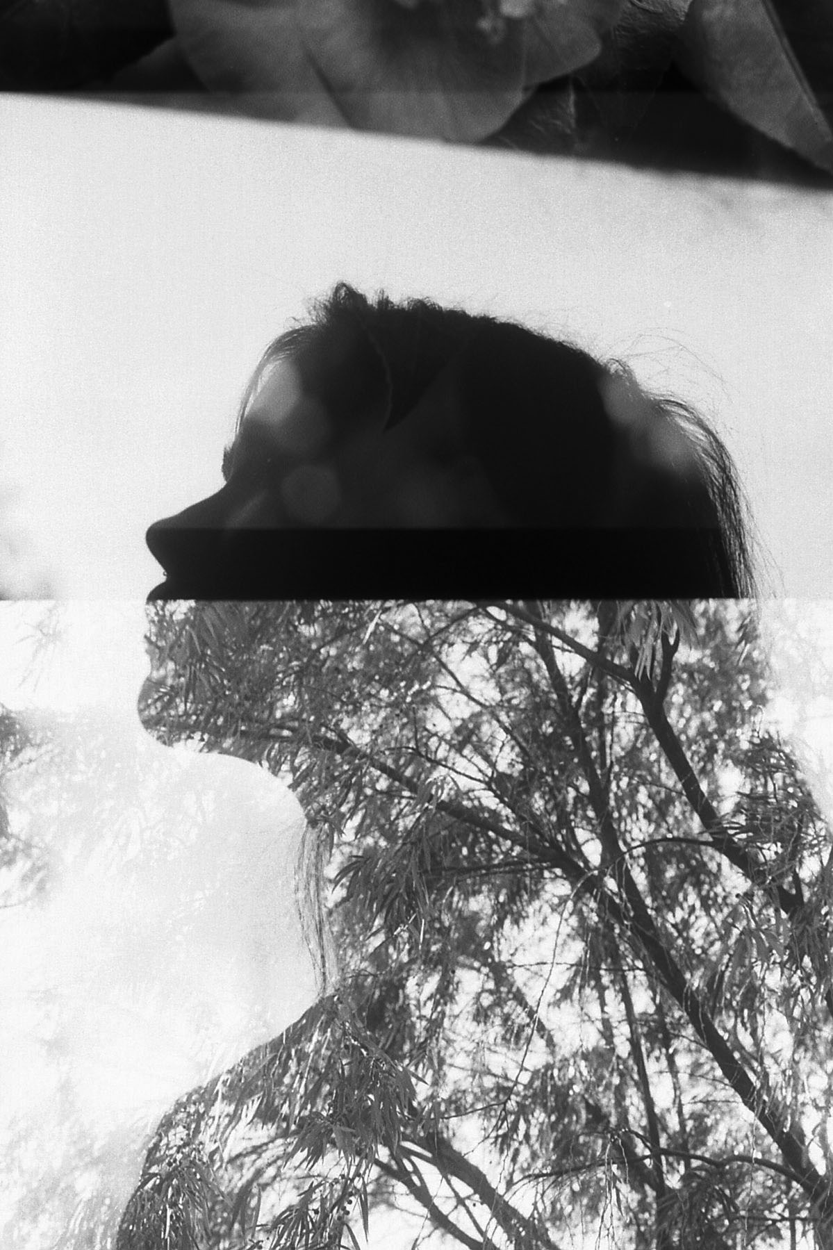silhouettes and flowers – Zoé Haynes-Smith Photography