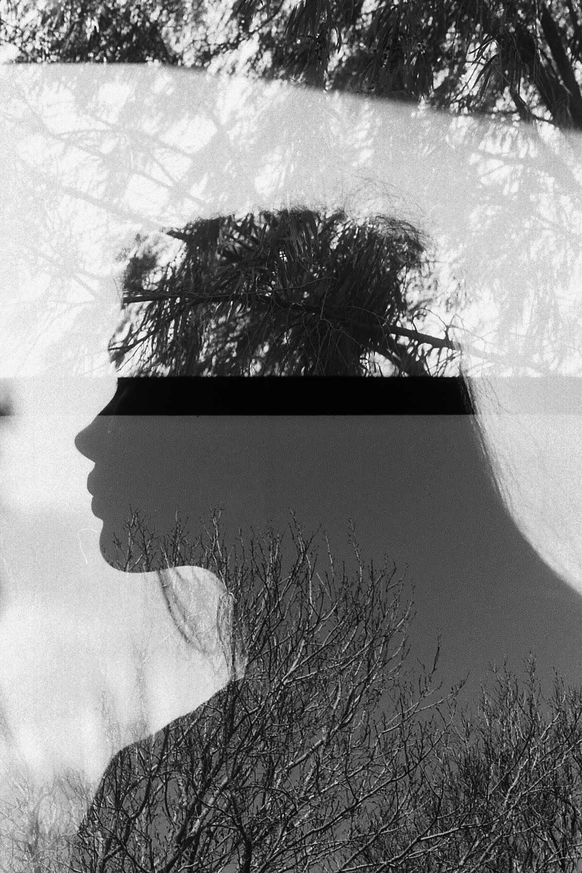 silhouettes and flowers – Zoé Haynes-Smith Photography