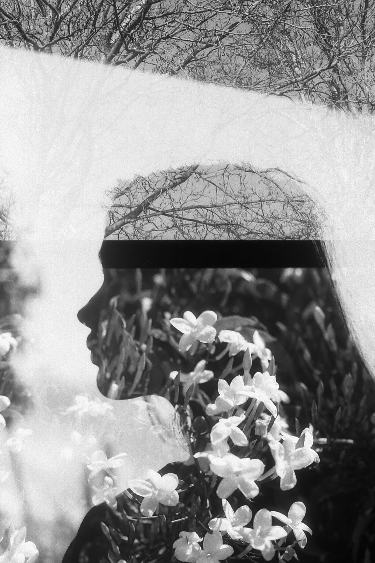 silhouettes and flowers – Zoé Haynes-Smith Photography