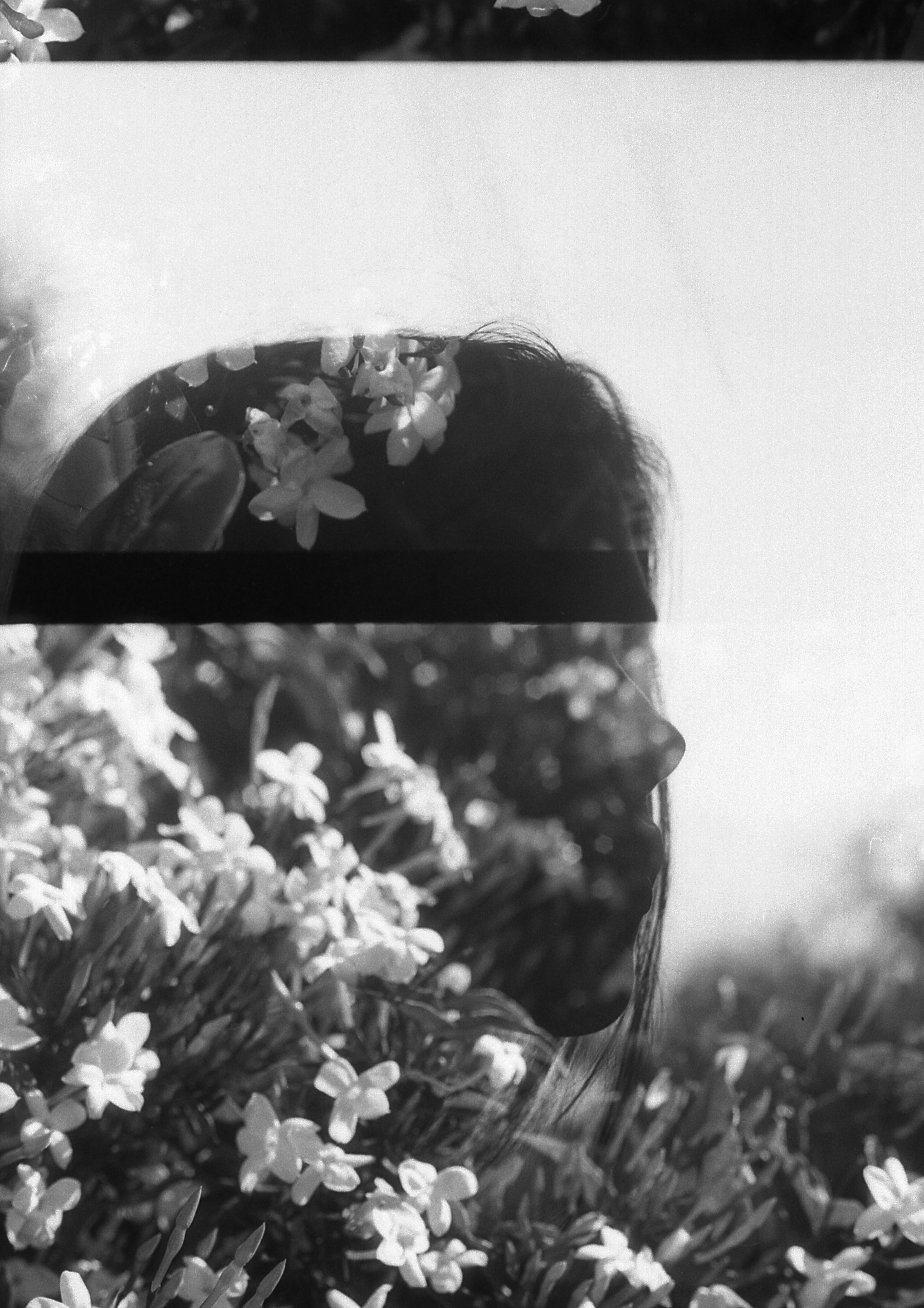 silhouettes and flowers – Zoé Haynes-Smith Photography