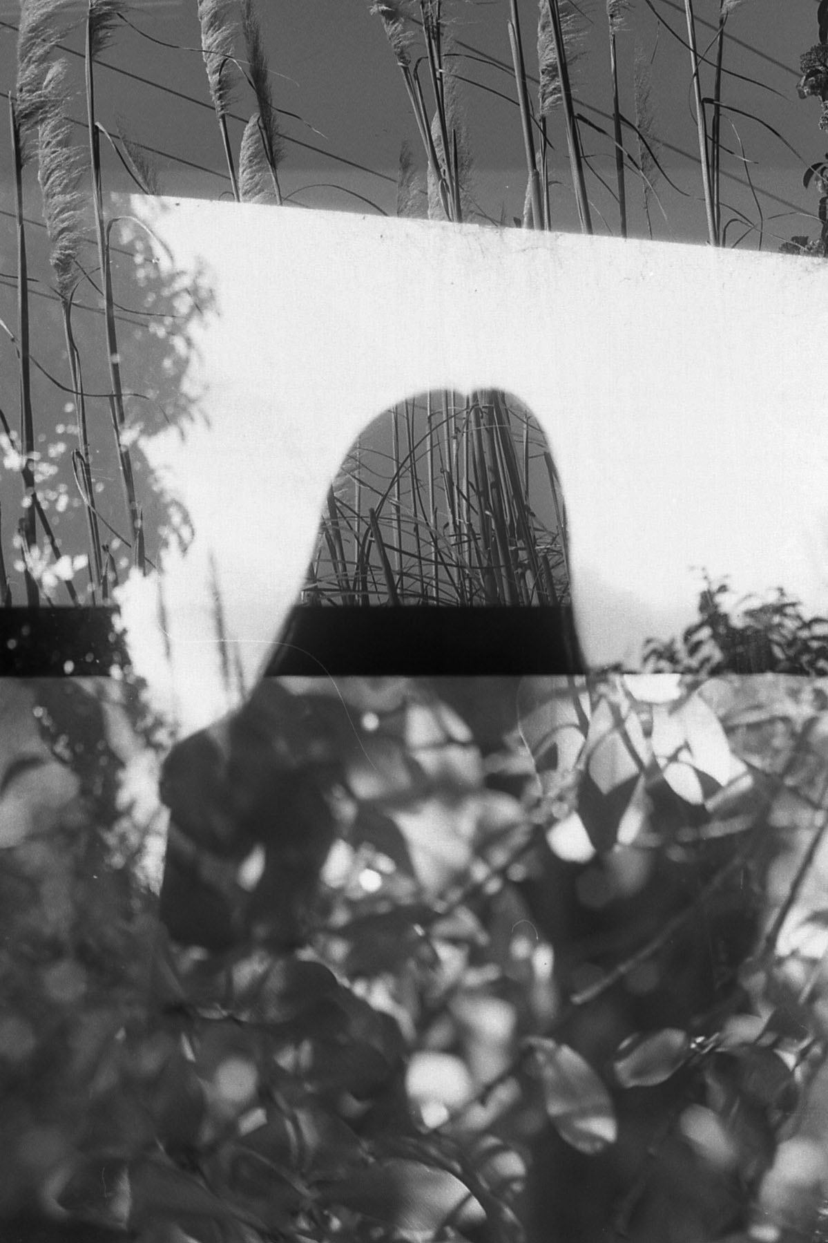 silhouettes and flowers – Zoé Haynes-Smith Photography