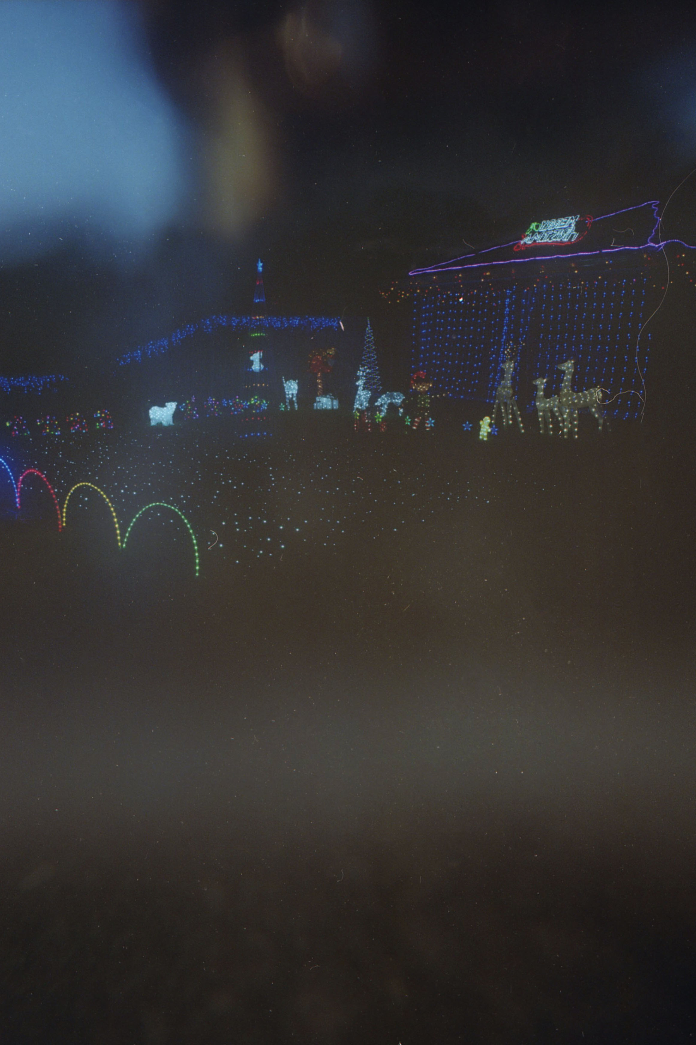 underwater christmas – Zoé Haynes-Smith Photography