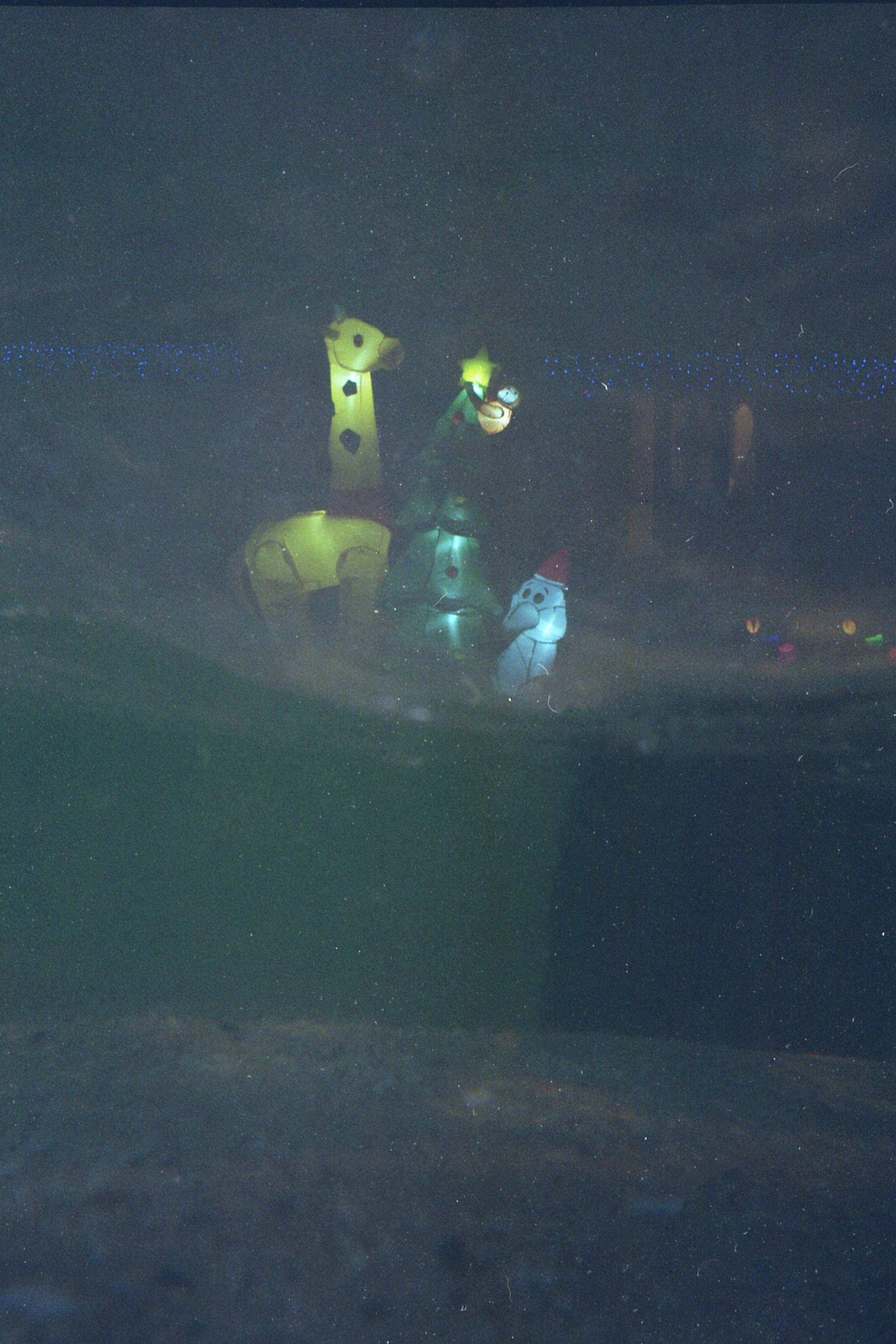 underwater christmas – Zoé Haynes-Smith Photography