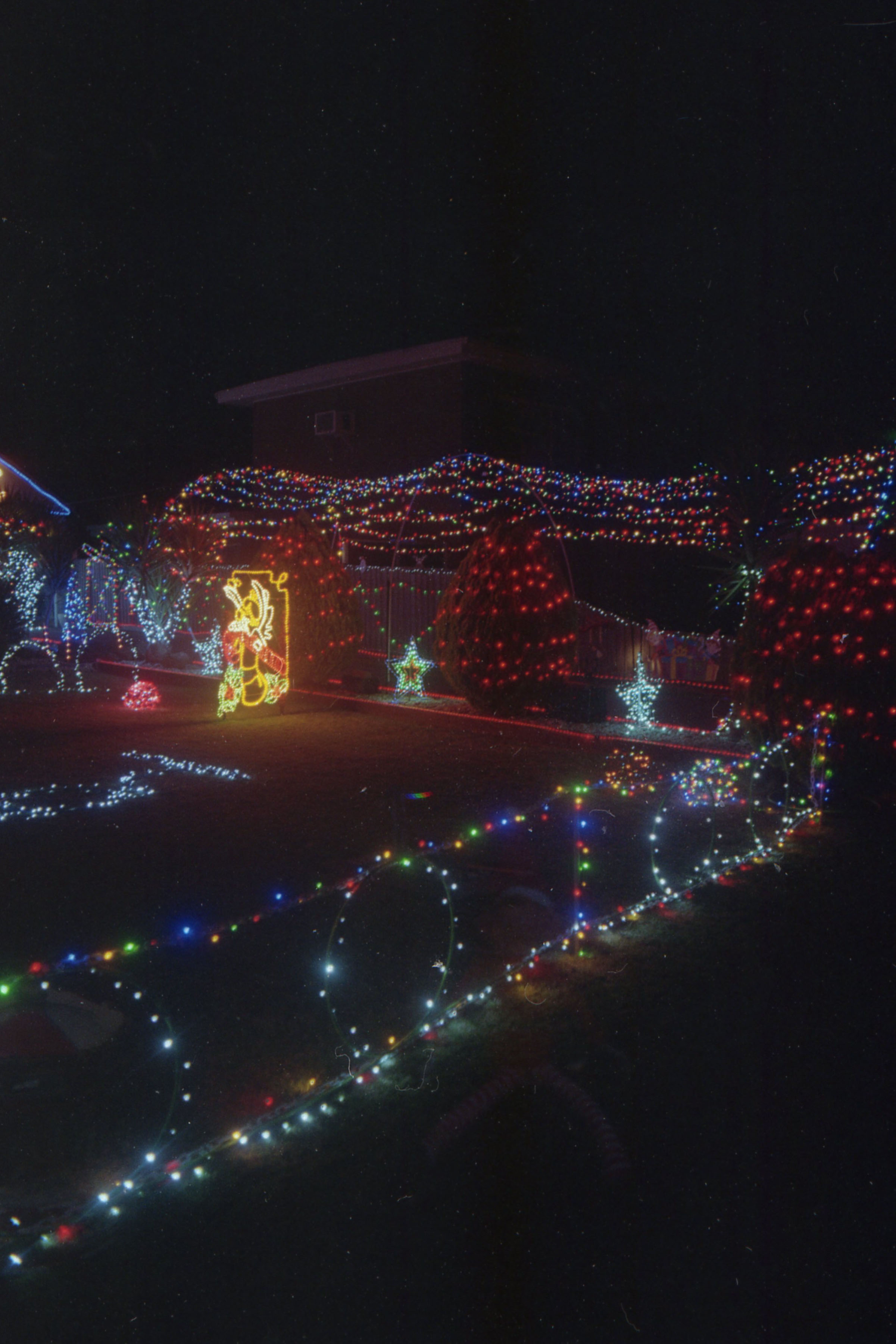 underwater christmas – Zoé Haynes-Smith Photography