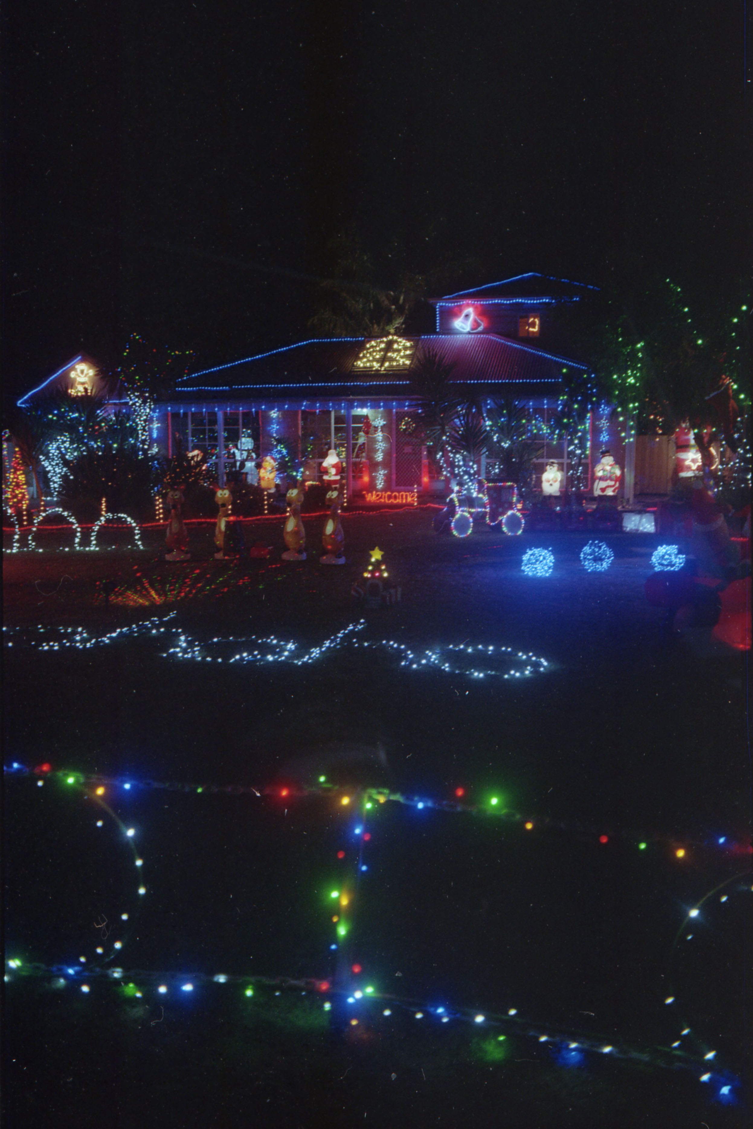 underwater christmas – Zoé Haynes-Smith Photography