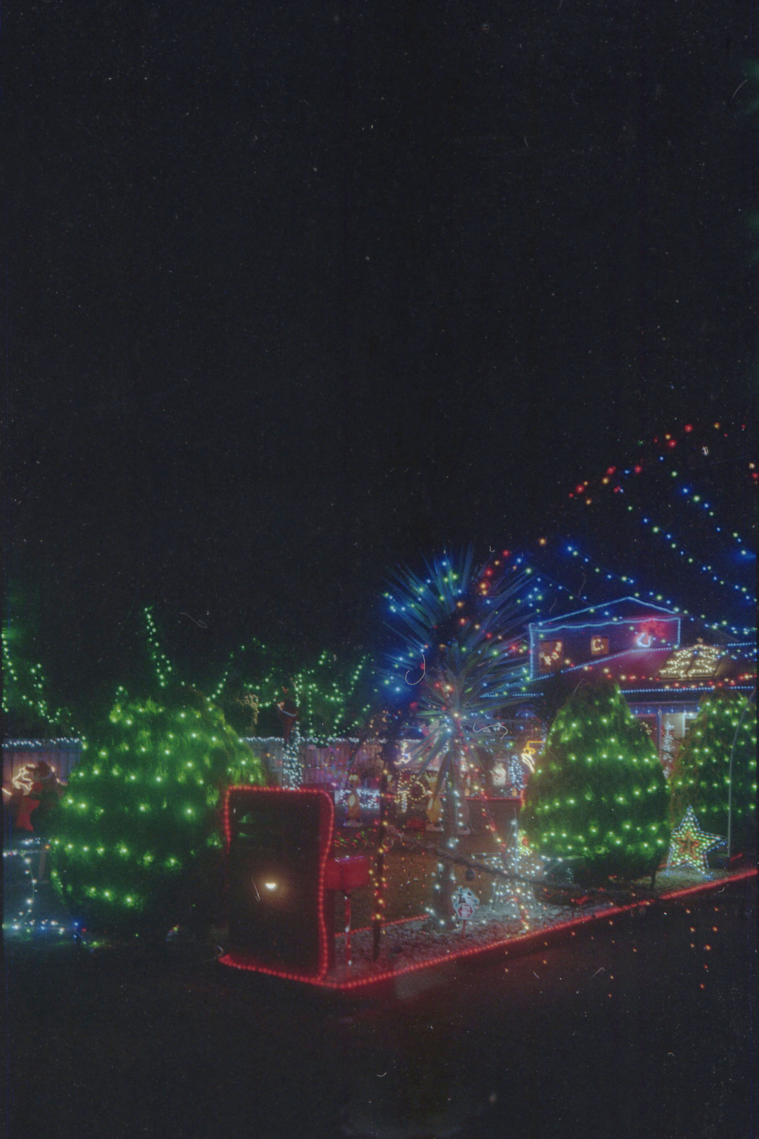 underwater christmas – Zoé Haynes-Smith Photography