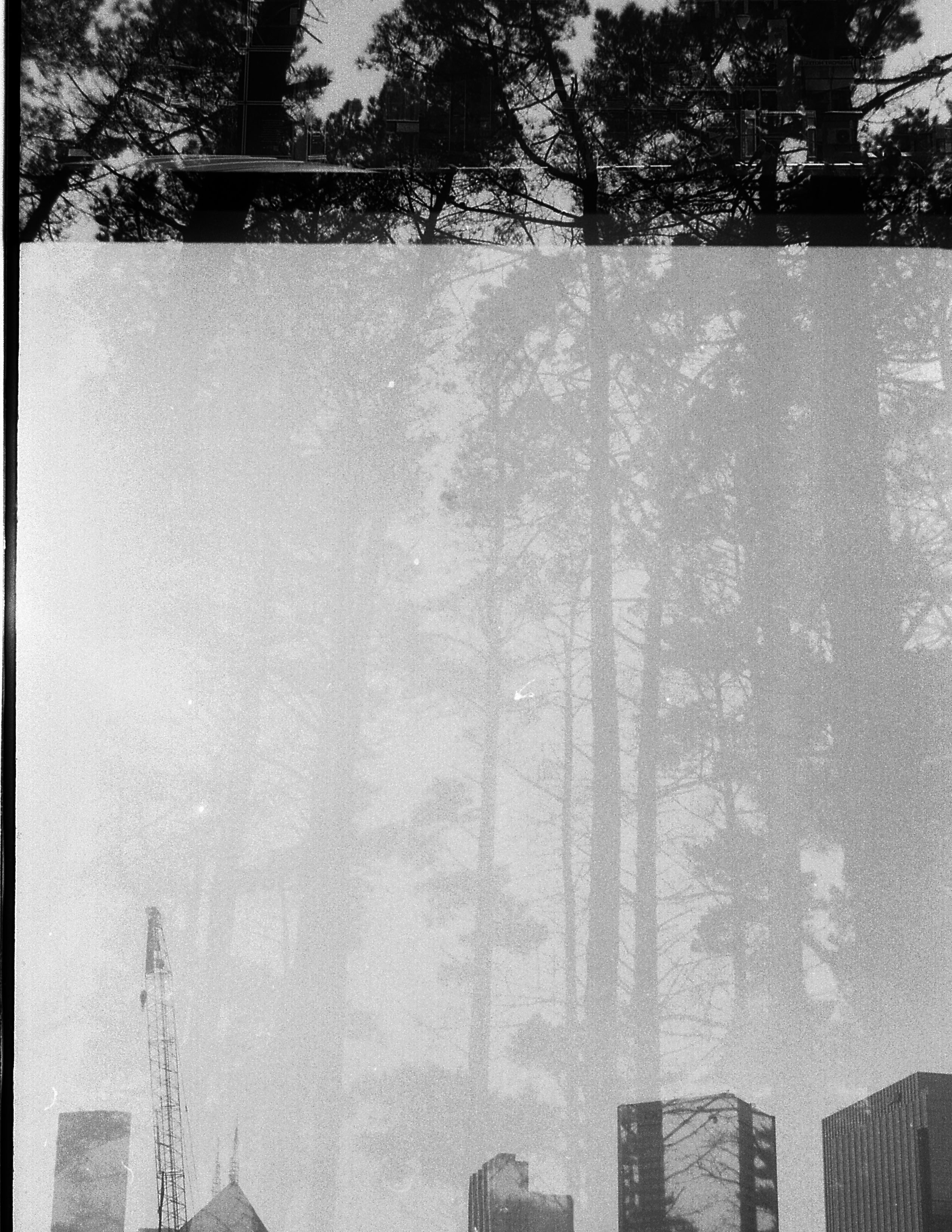 concrete jungle – Zoé Haynes-Smith Photography