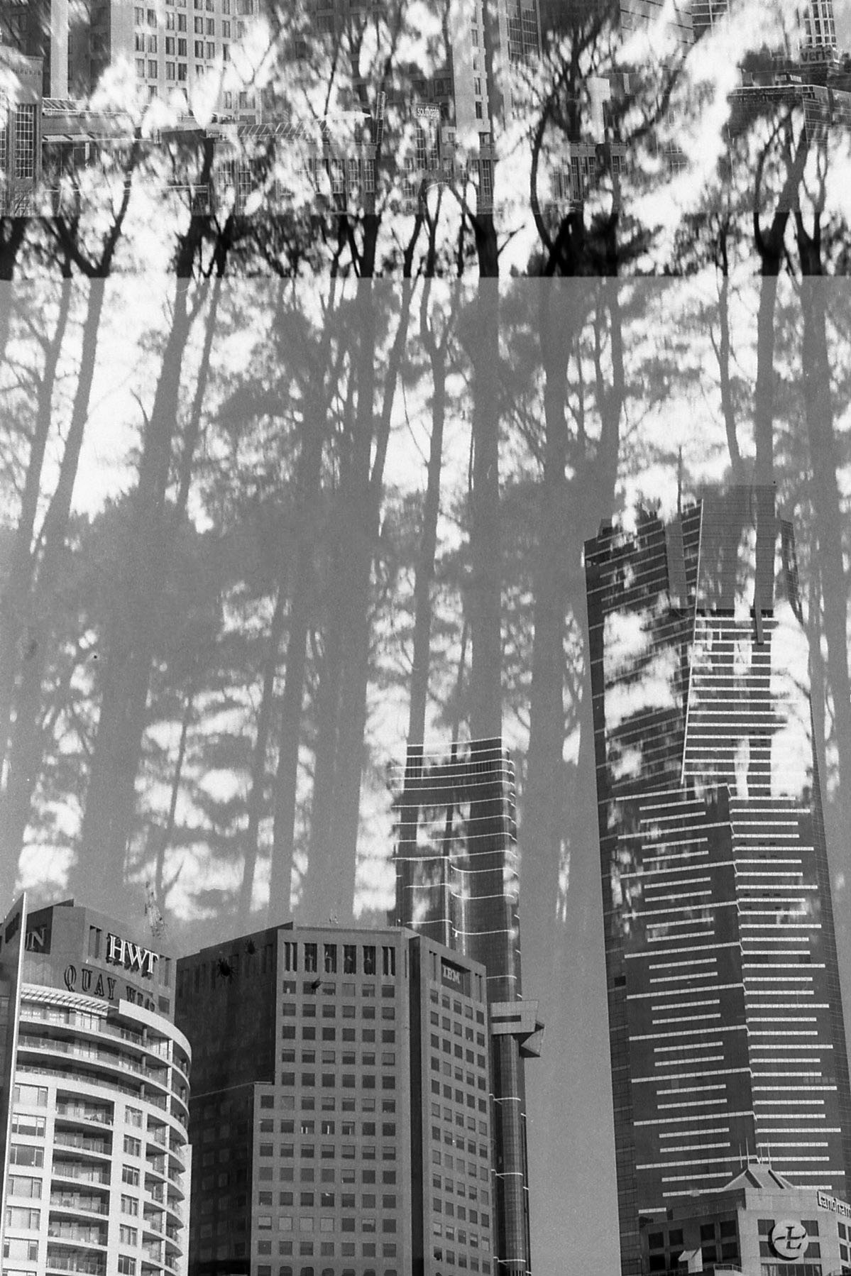 concrete jungle – Zoé Haynes-Smith Photography