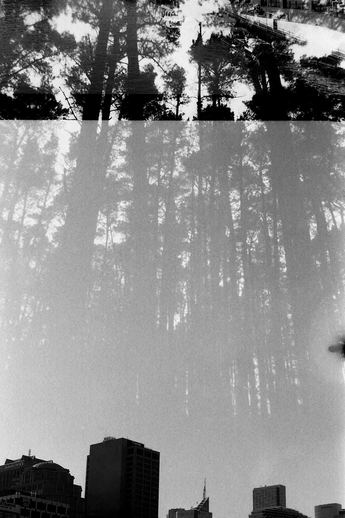 concrete jungle – Zoé Haynes-Smith Photography