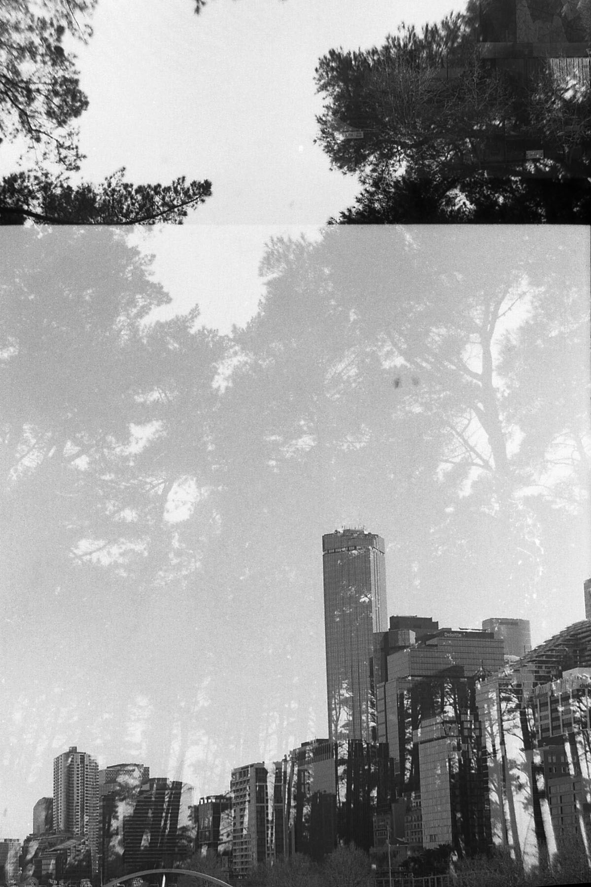 concrete jungle – Zoé Haynes-Smith Photography