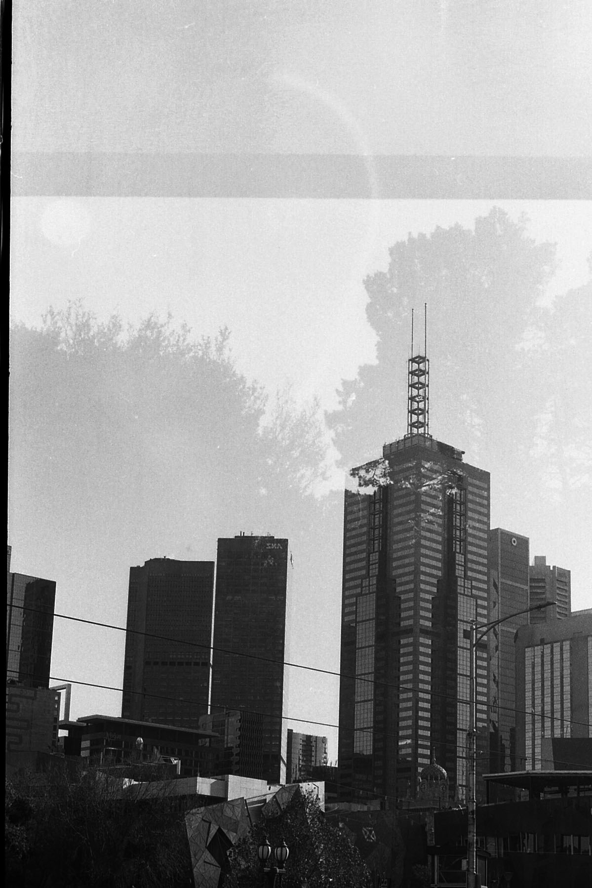 concrete jungle – Zoé Haynes-Smith Photography