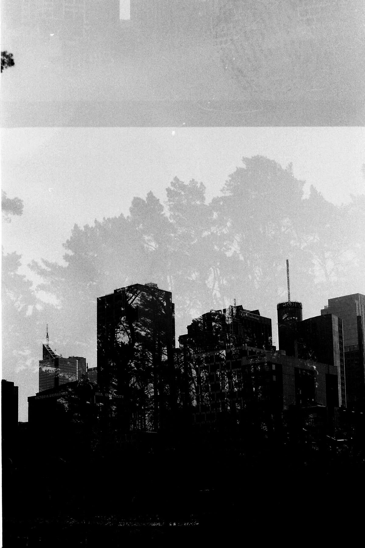 concrete jungle – Zoé Haynes-Smith Photography