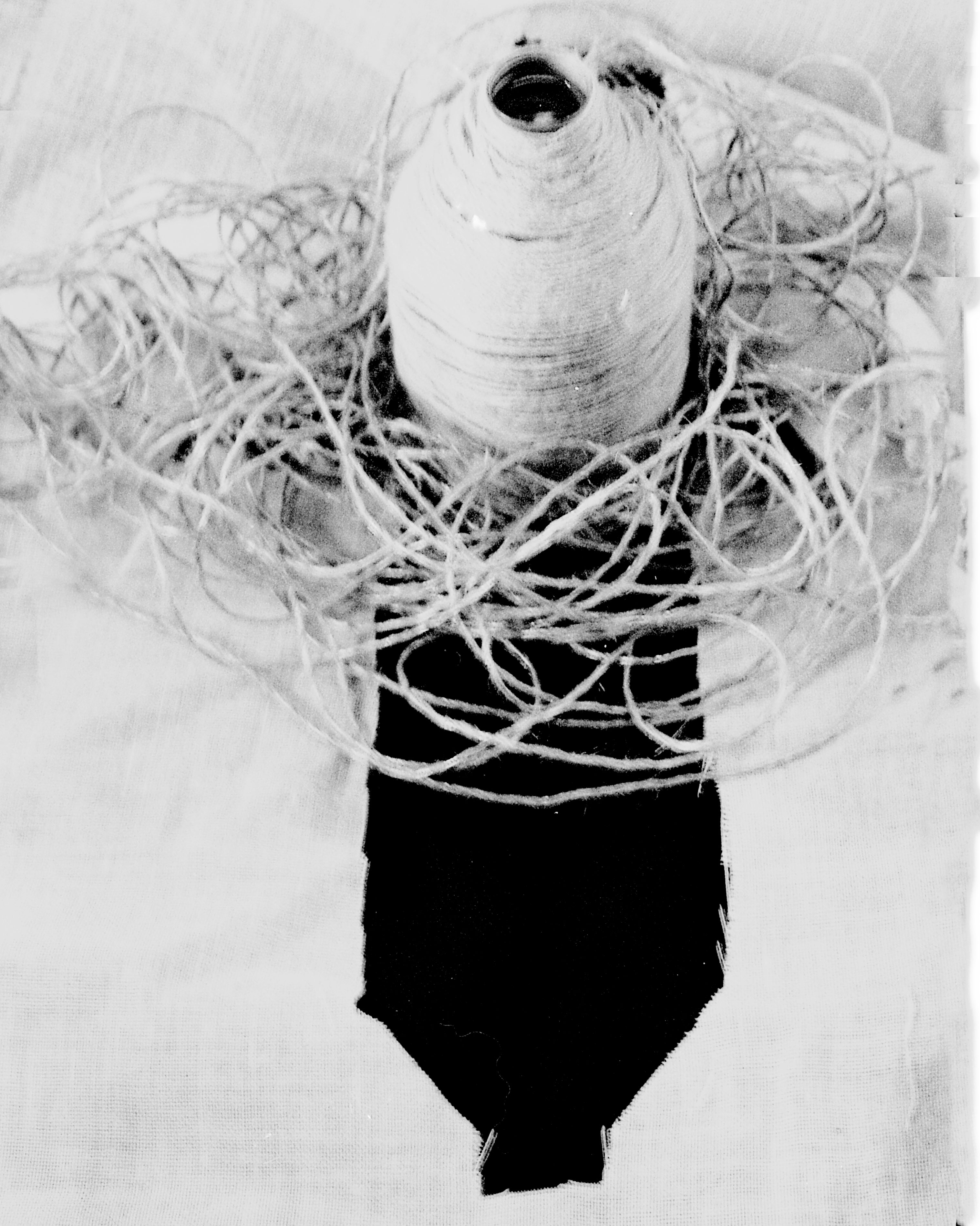 Form-A DIFFERENT VIEW ..A photographic series exploring THE ...